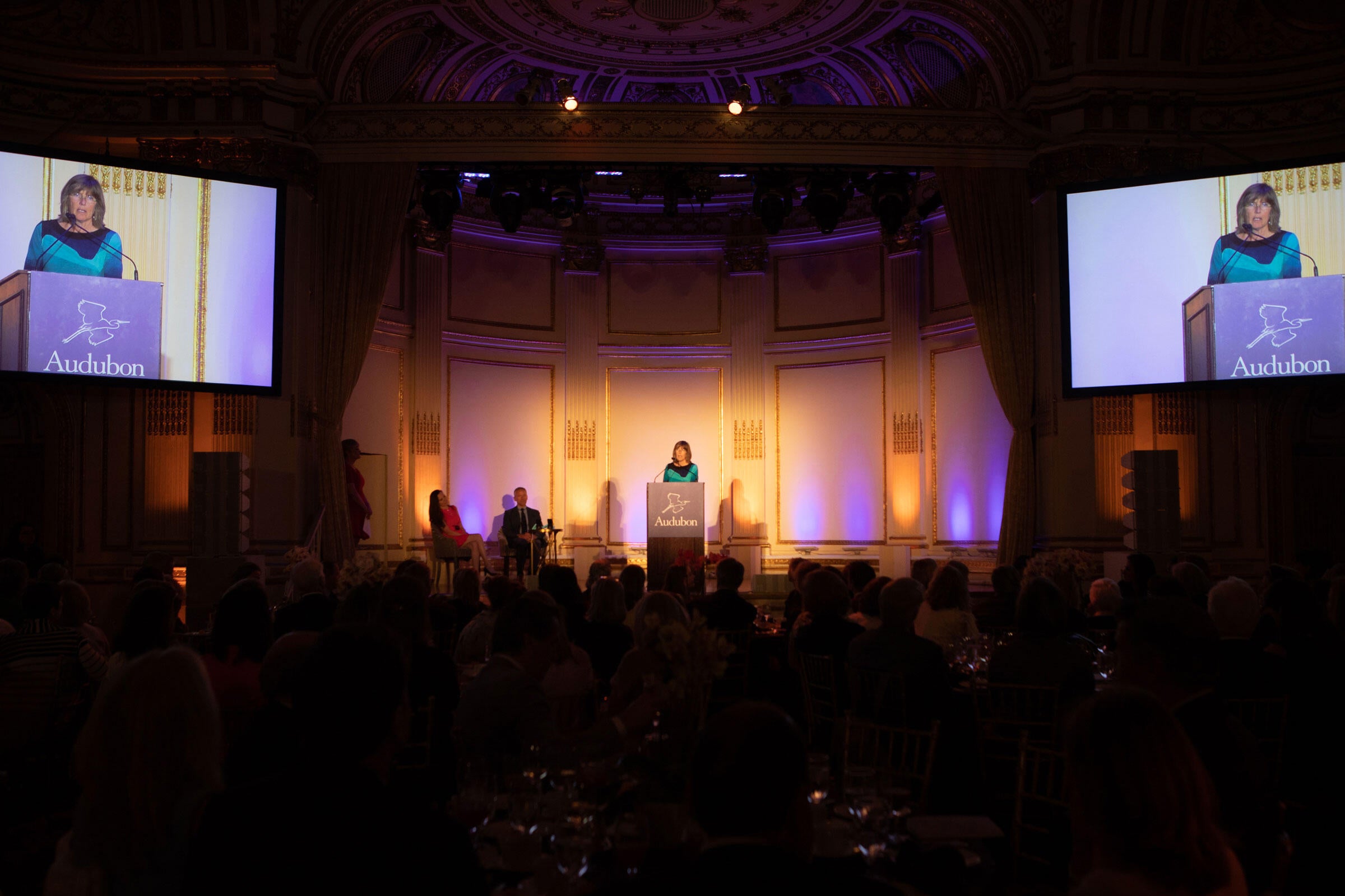 Audubon’s Annual Women in Conservation Luncheon Honors Rose H. Harvey ...