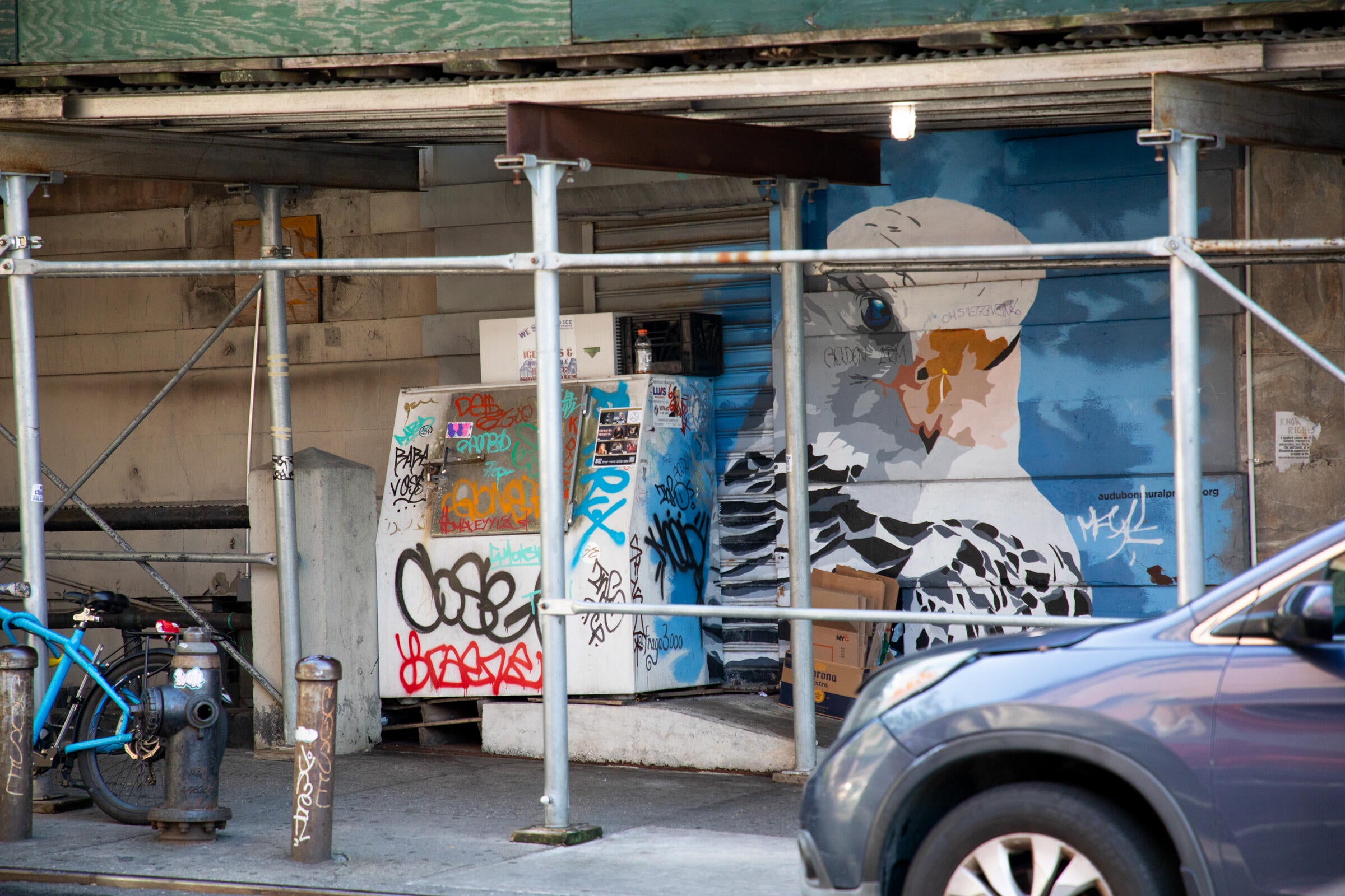 The Fastest-Ever Tour of the Audubon Mural Project in Harlem | Audubon