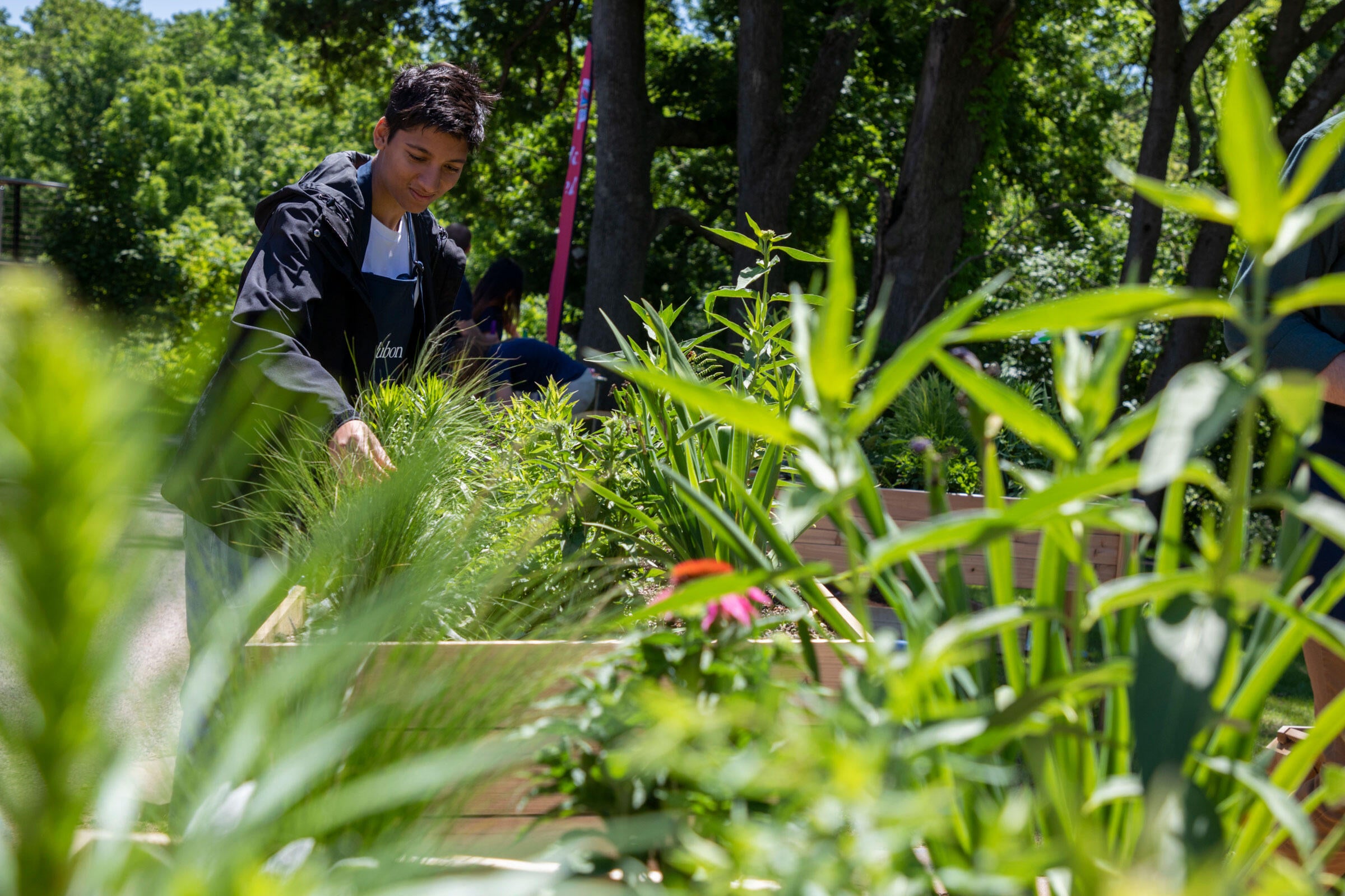 John James Audubon Center Opens at Historic Mill Grove | Audubon