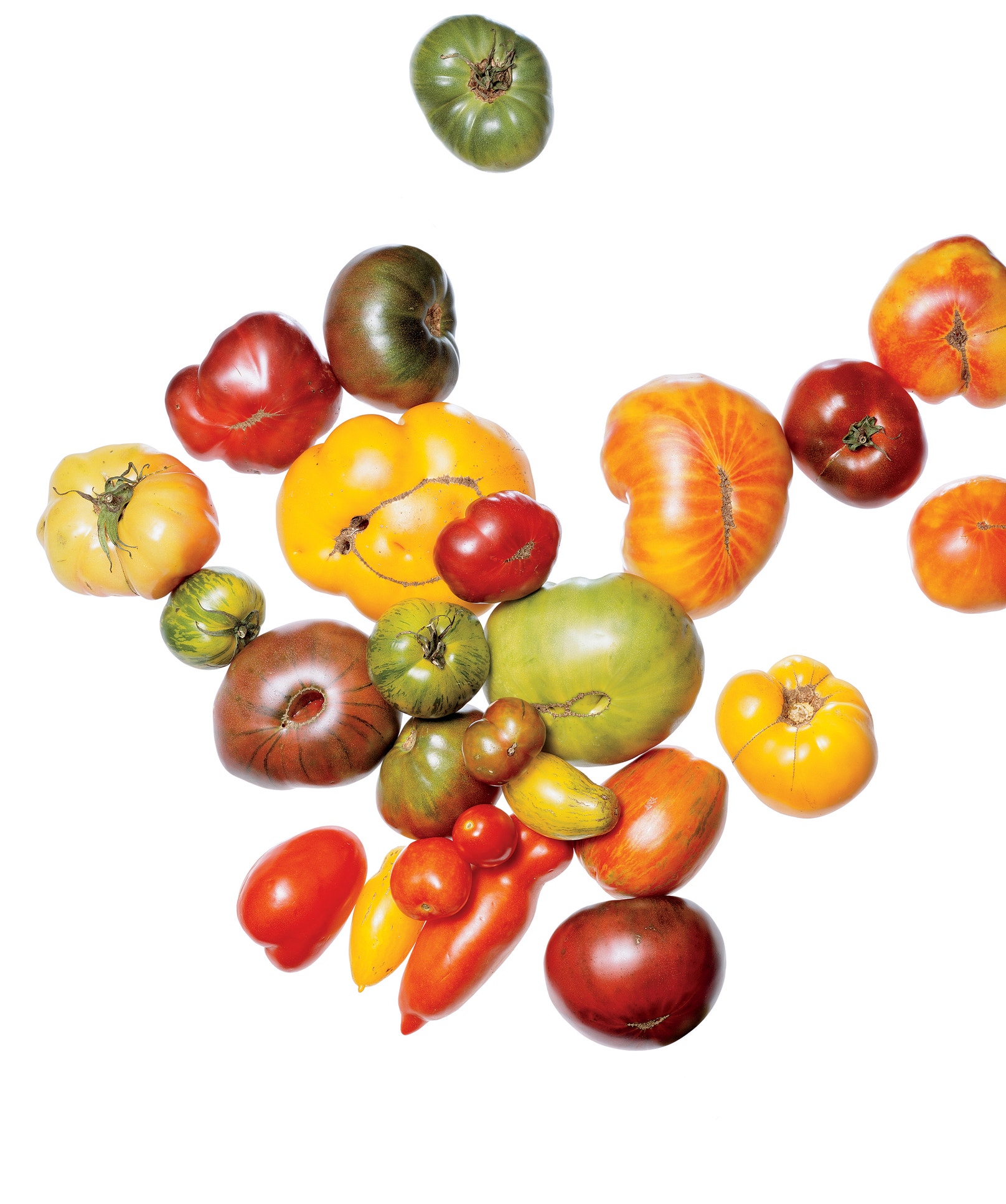 Food Cycle Audubon Food Cycle Audubon
