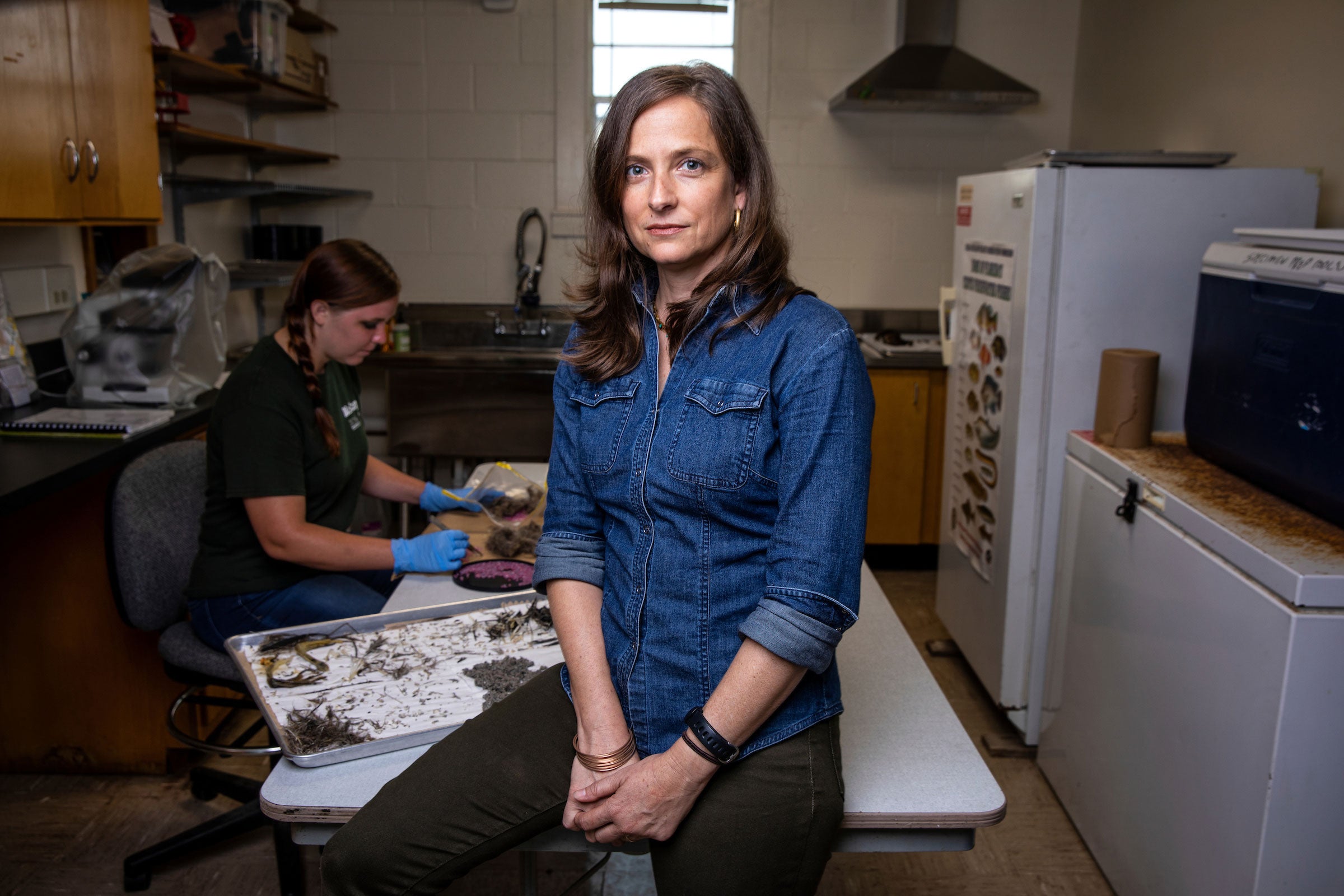 Invasive Reptiles Are Taking Over Florida—and Devouring Its Birds Along ...