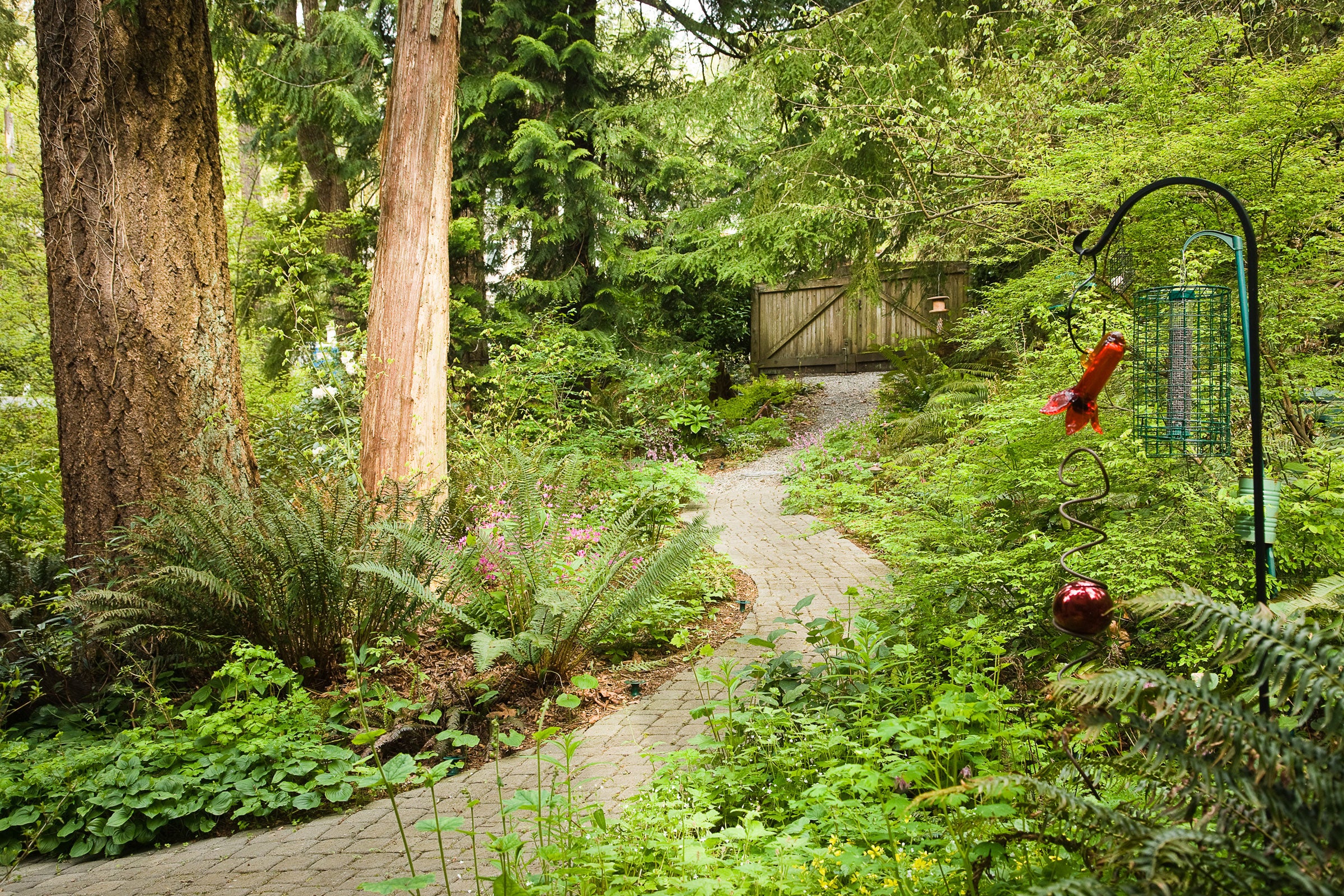 How to Make Your Yard Bird-Friendly | Audubon