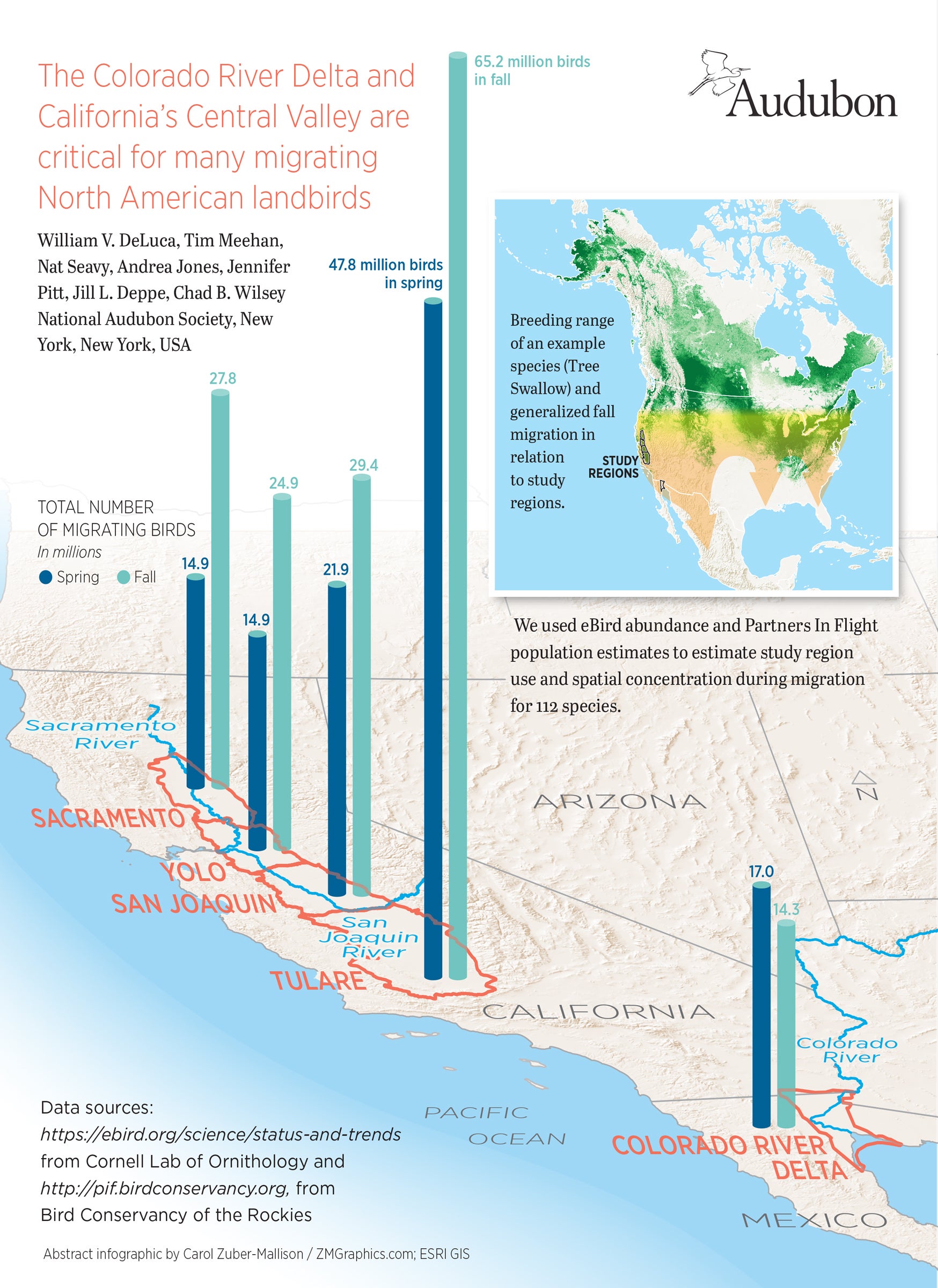 Audubon Scientists Reveal Migration Bottlenecks Used by Tens of ...