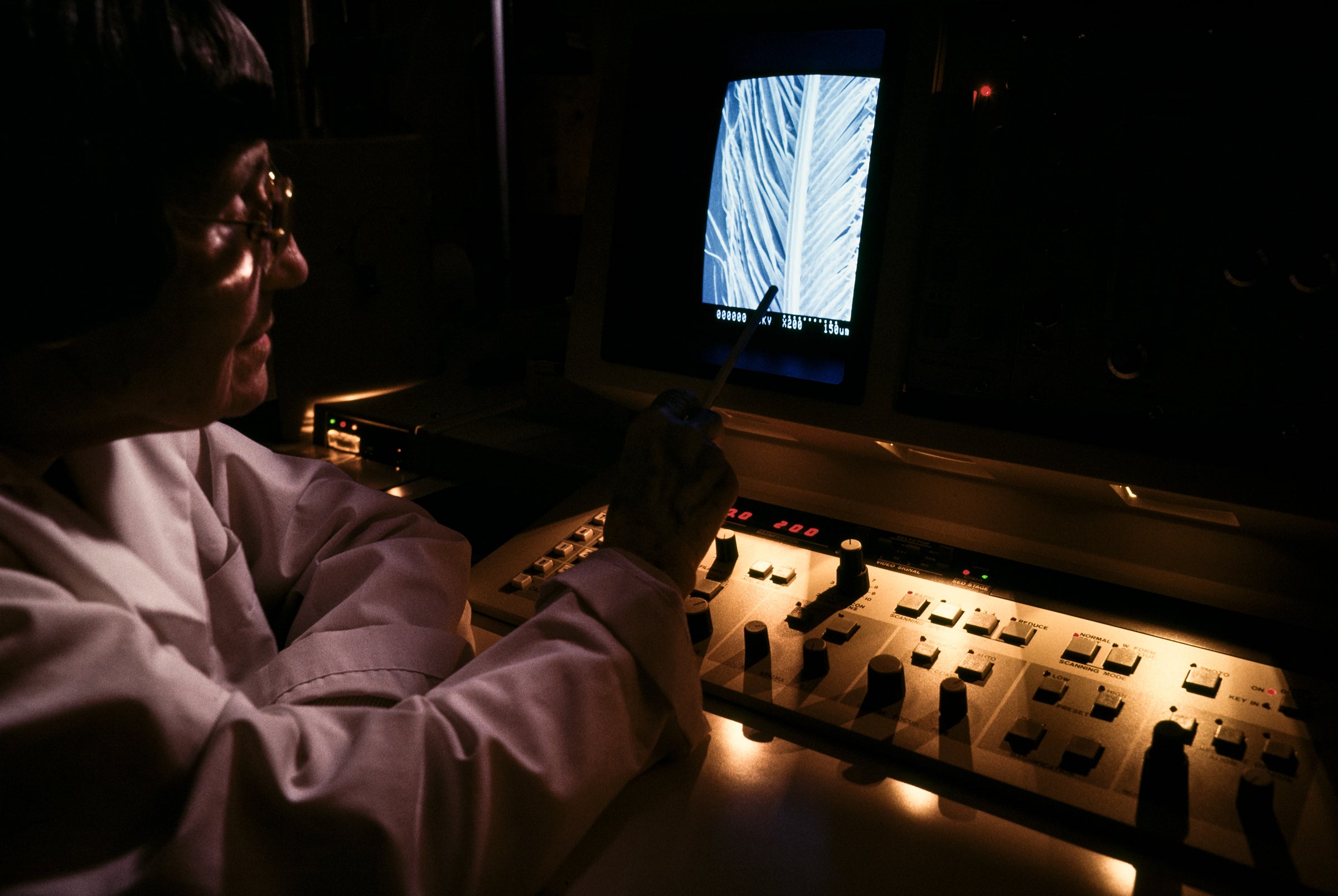 The Remarkable Life of Roxie Laybourne | Audubon