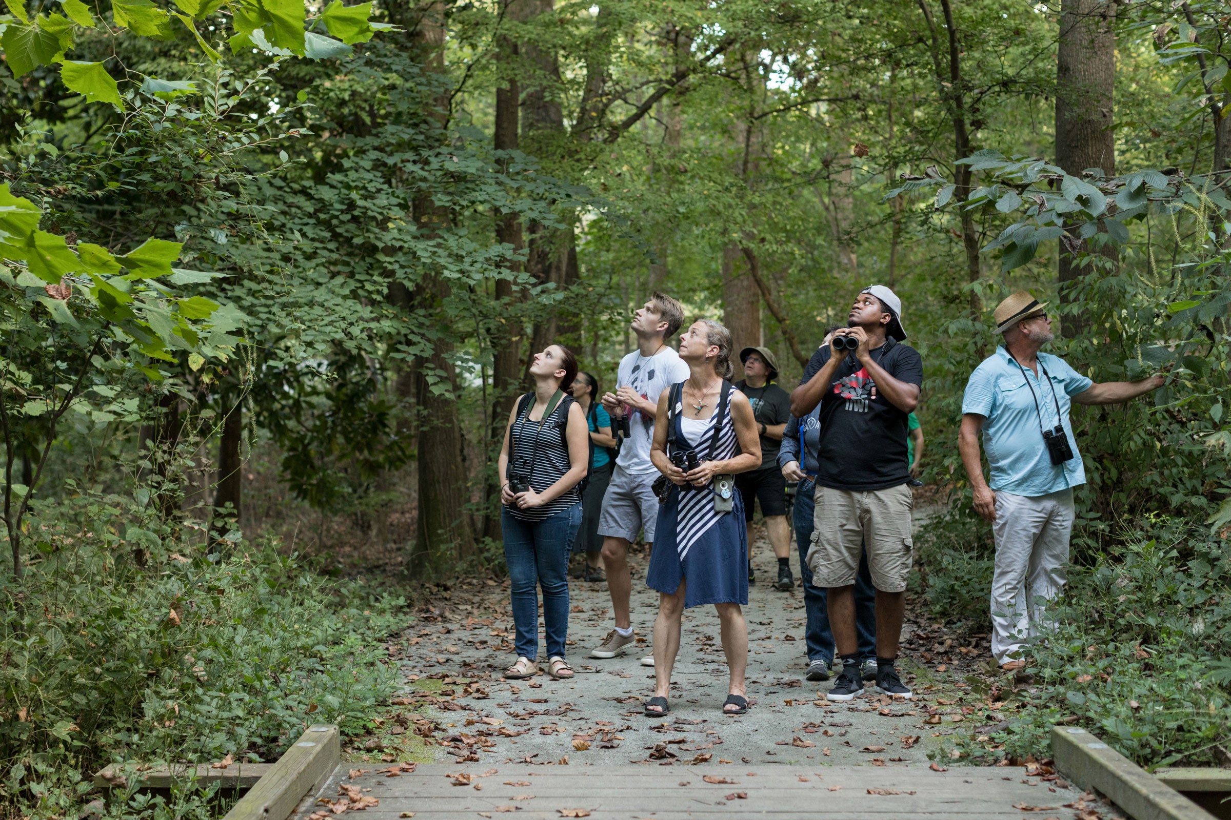 Atlanta's Largest Park Gets a (Chimney) Swift Makeover | Audubon