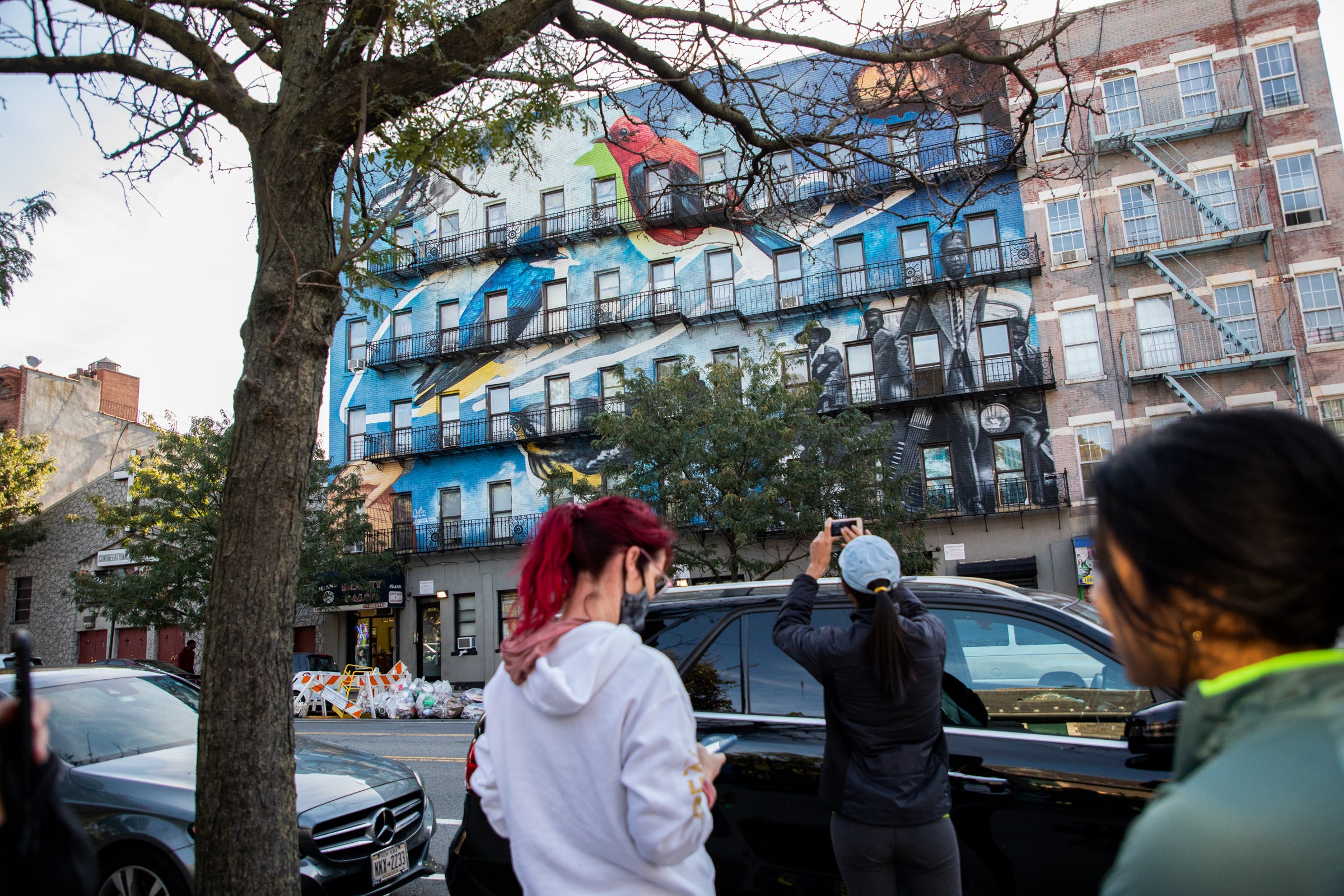 The Fastest-Ever Tour of the Audubon Mural Project in Harlem | Audubon