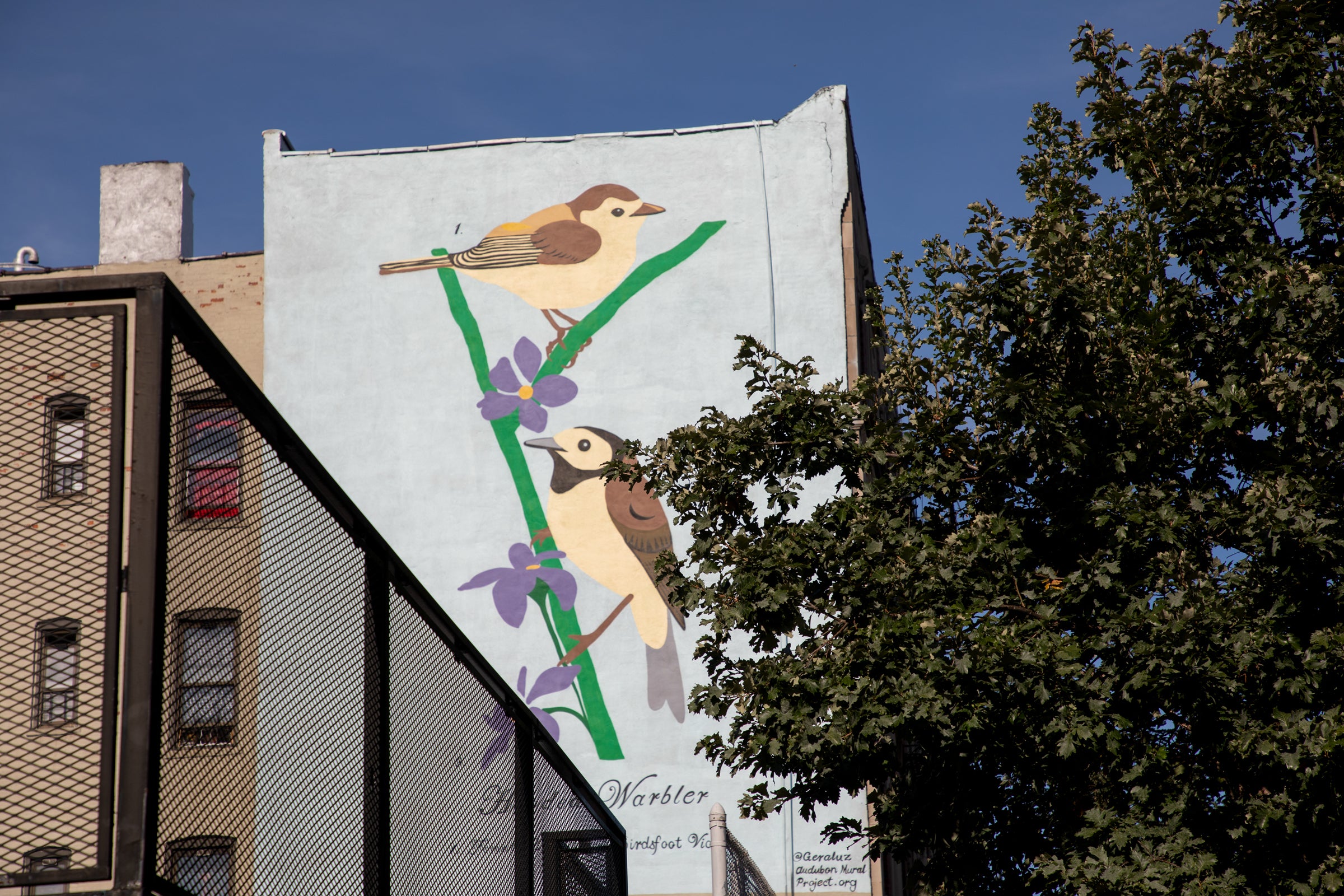 The Fastest-Ever Tour of the Audubon Mural Project in Harlem | Audubon