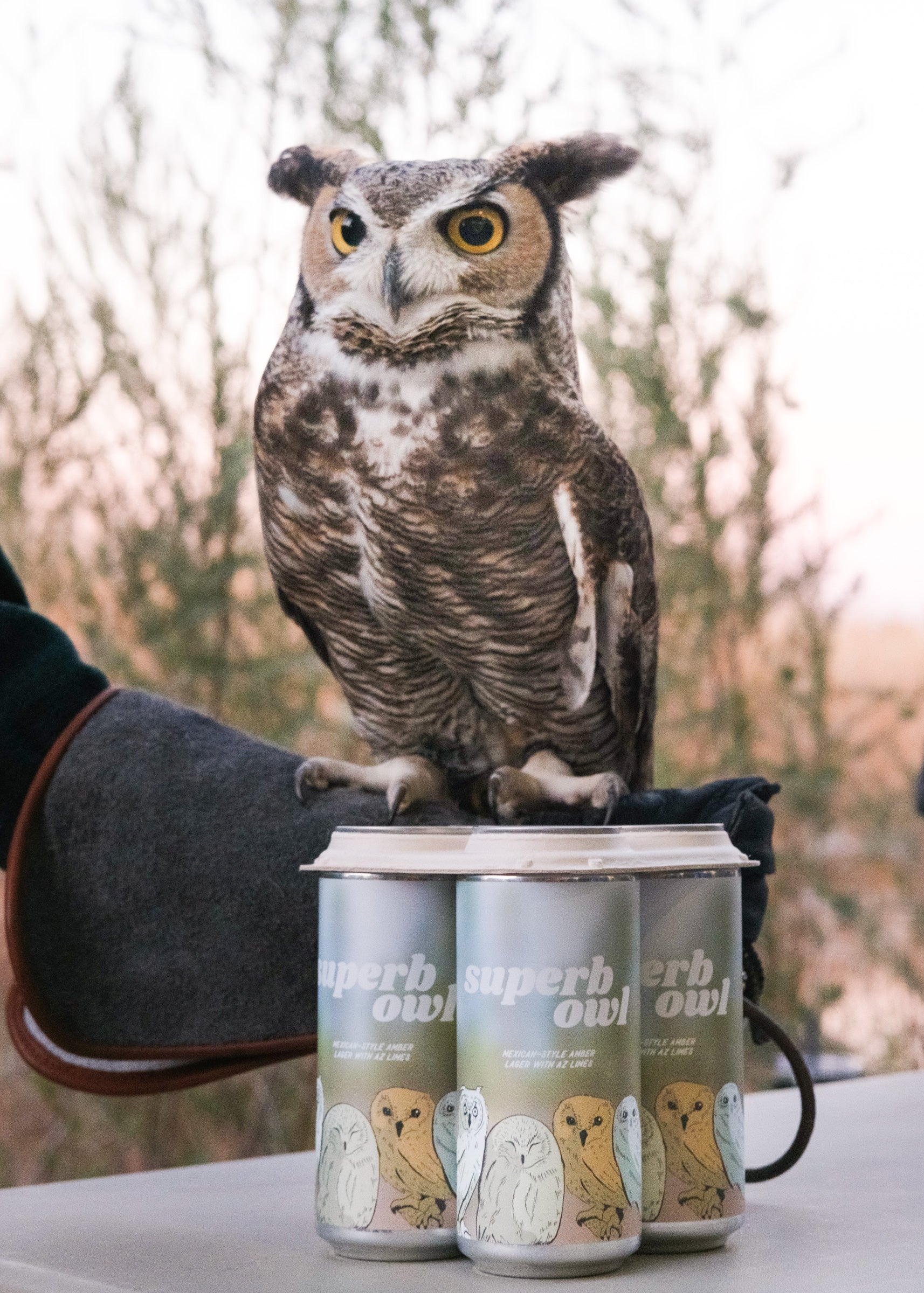 Audubon Southwest and Arizona Wilderness Brewing Team Up to Celebrate a ...