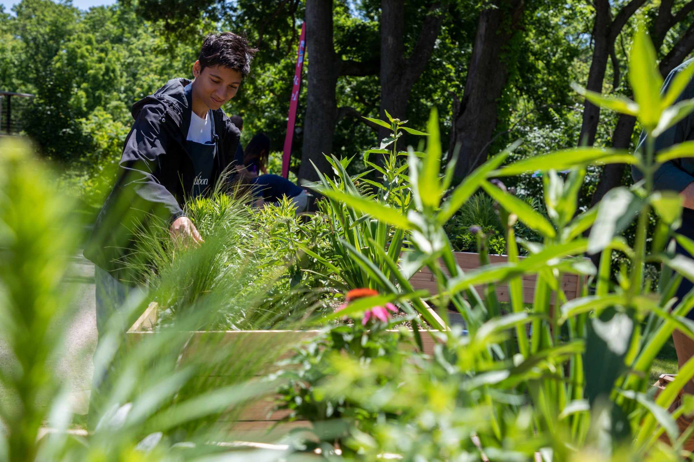 John James Audubon Center Opens at Historic Mill Grove | Audubon