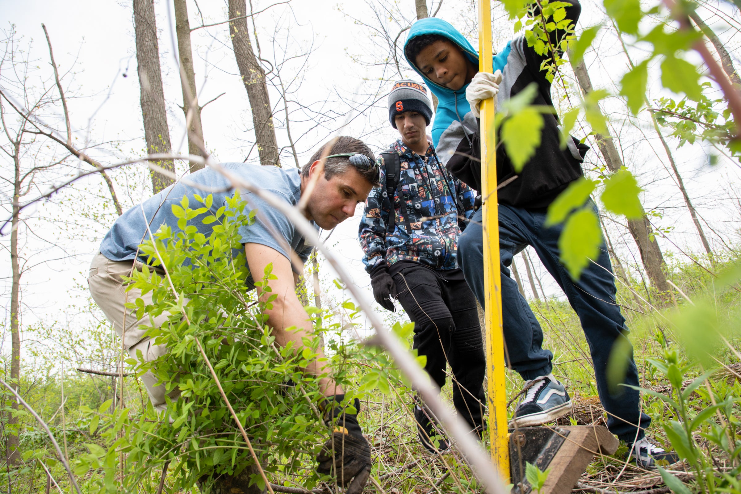 What is the Difference Between Native, Non-native, and Invasive Plants ...
