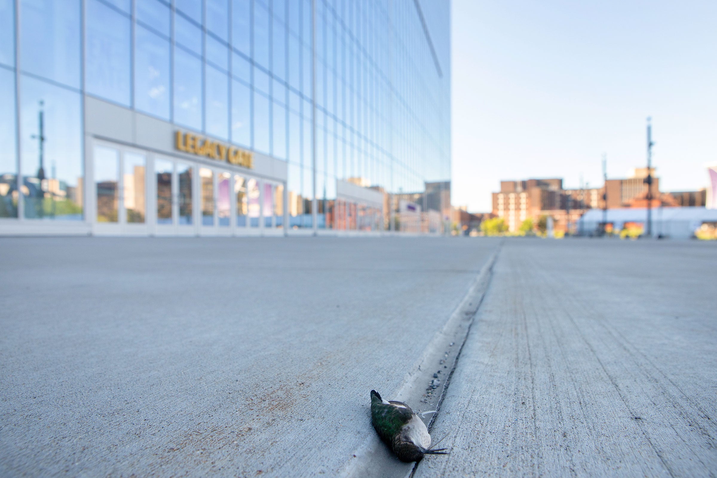 Minnesota's Newest Sports Stadiums Take Very Different Approaches to ...