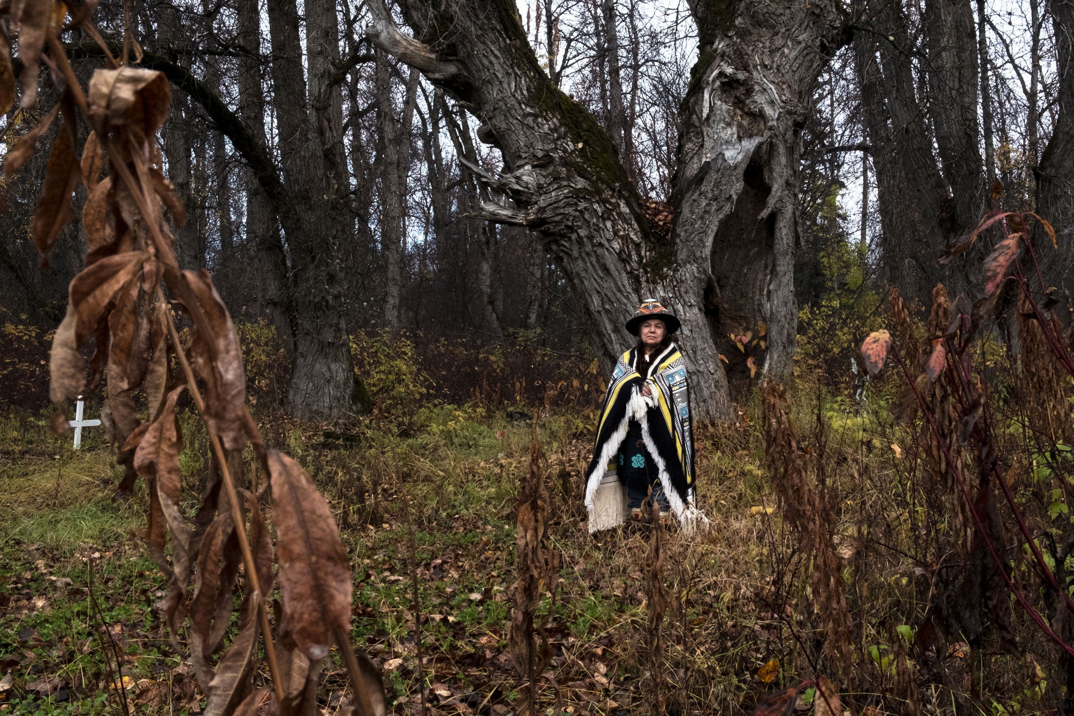 Proposed Mine Threatens the World's Largest Concentration of Bald ...