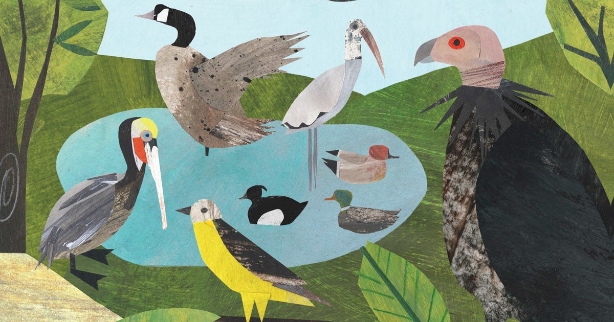 Ten Birdy Children's Books to Read With Your Fledglings | Audubon