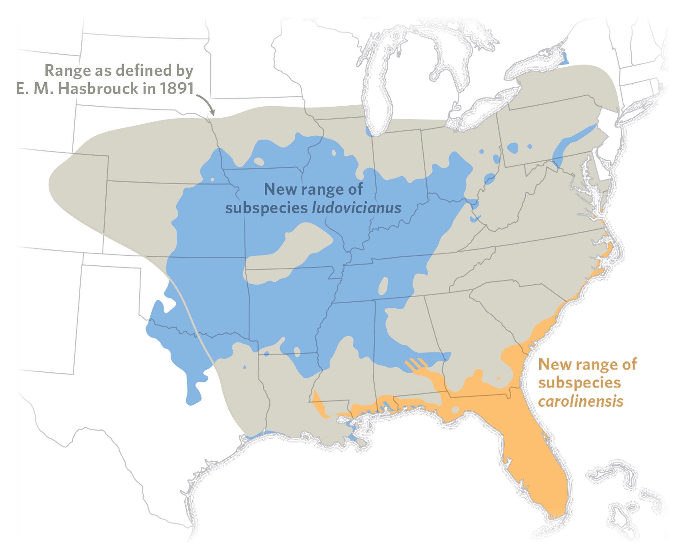 We Now Know the Real Range of the Extinct Carolina Parakeet | Audubon