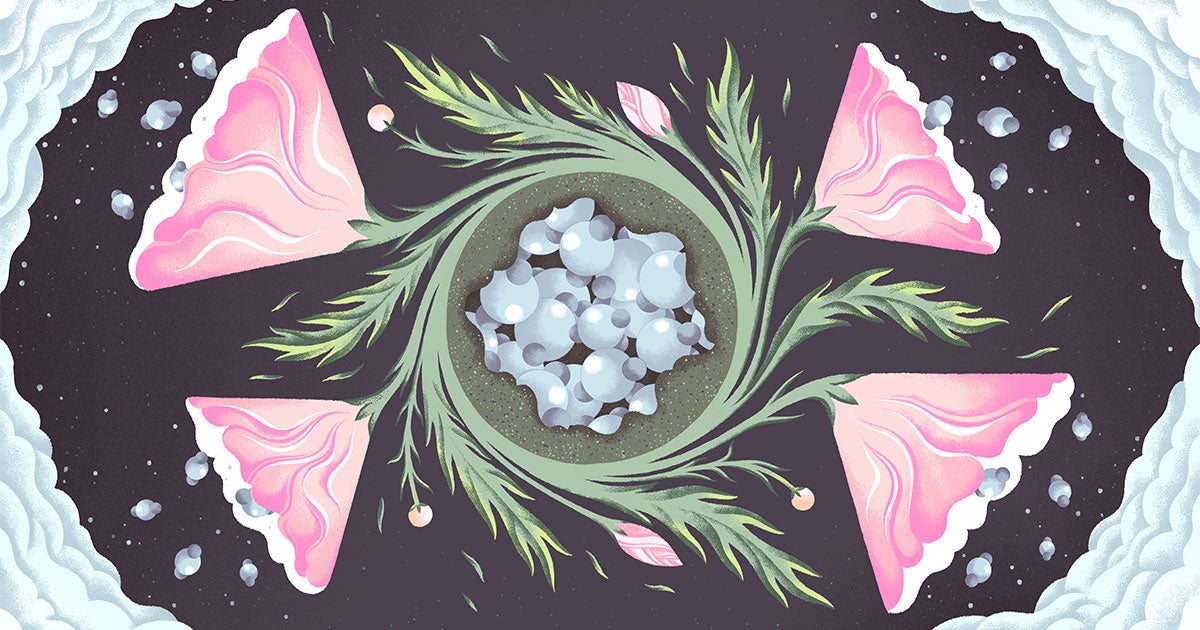 The Hidden Carbon Trap in Your Garden? It's All About the Soil | Audubon