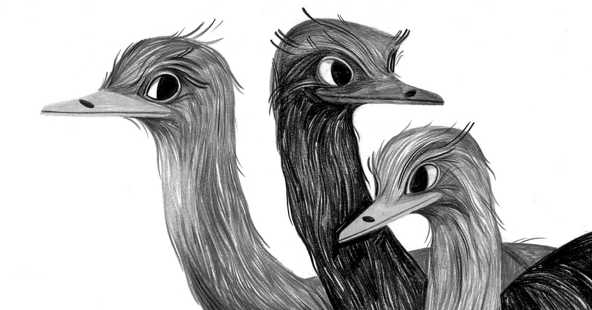 On Emu Pies, Riot Birds, and Roughing the Australian Outback | Audubon