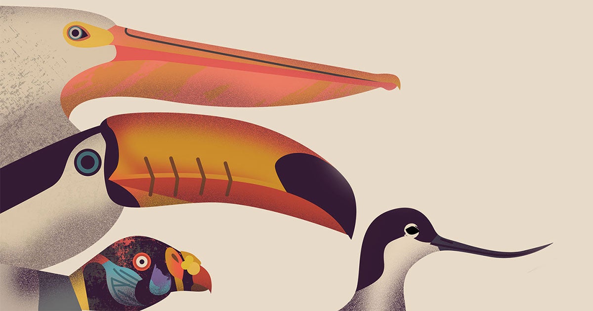 Seven Birdy Books for Kids (and the Kid Inside of You) | Audubon