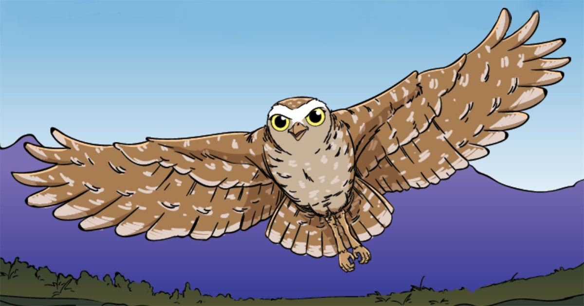 Write Your Own Owl Prowl | Audubon