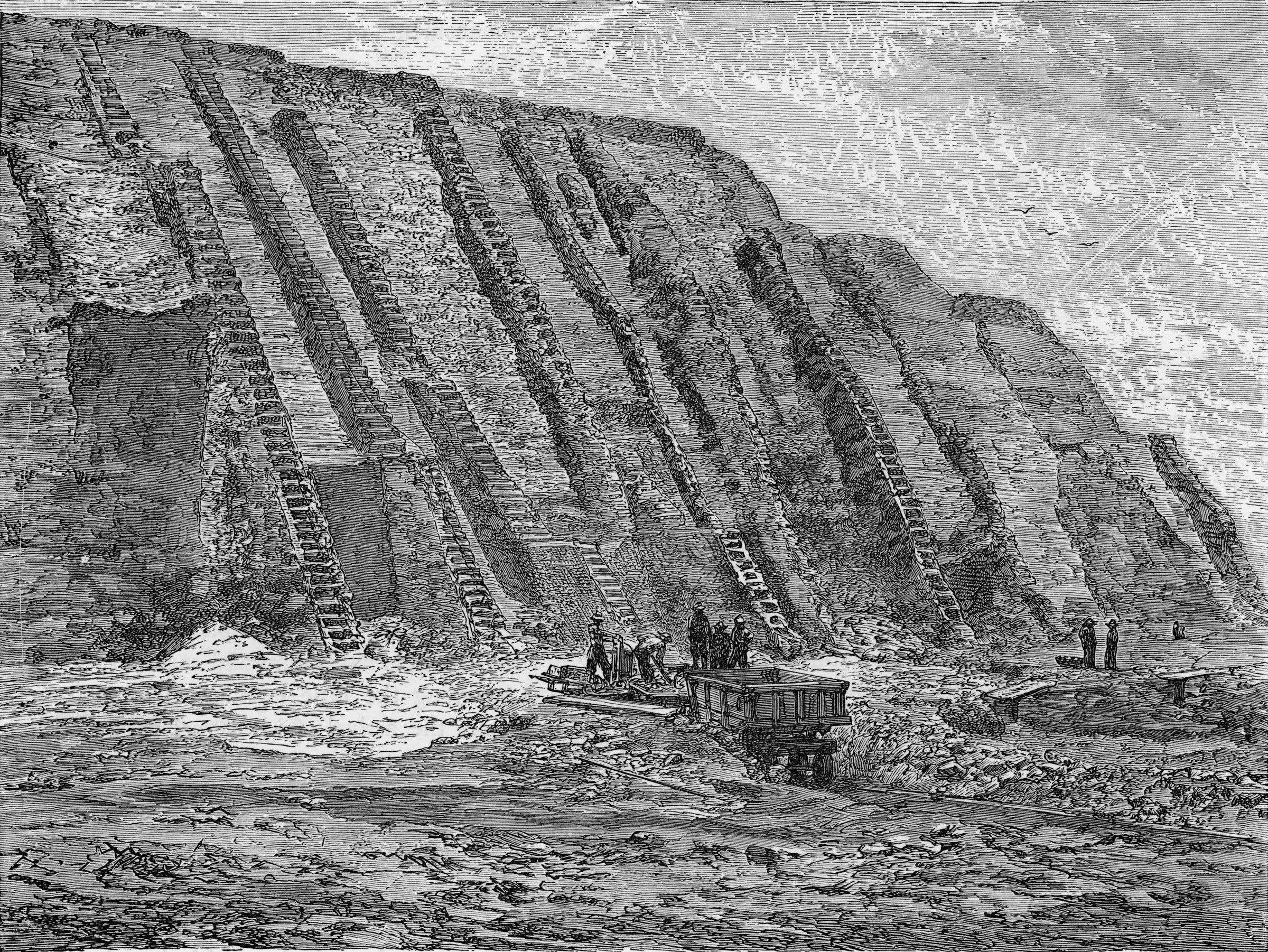 The Incas Were Some of the Earliest Bird Conservationists | Audubon