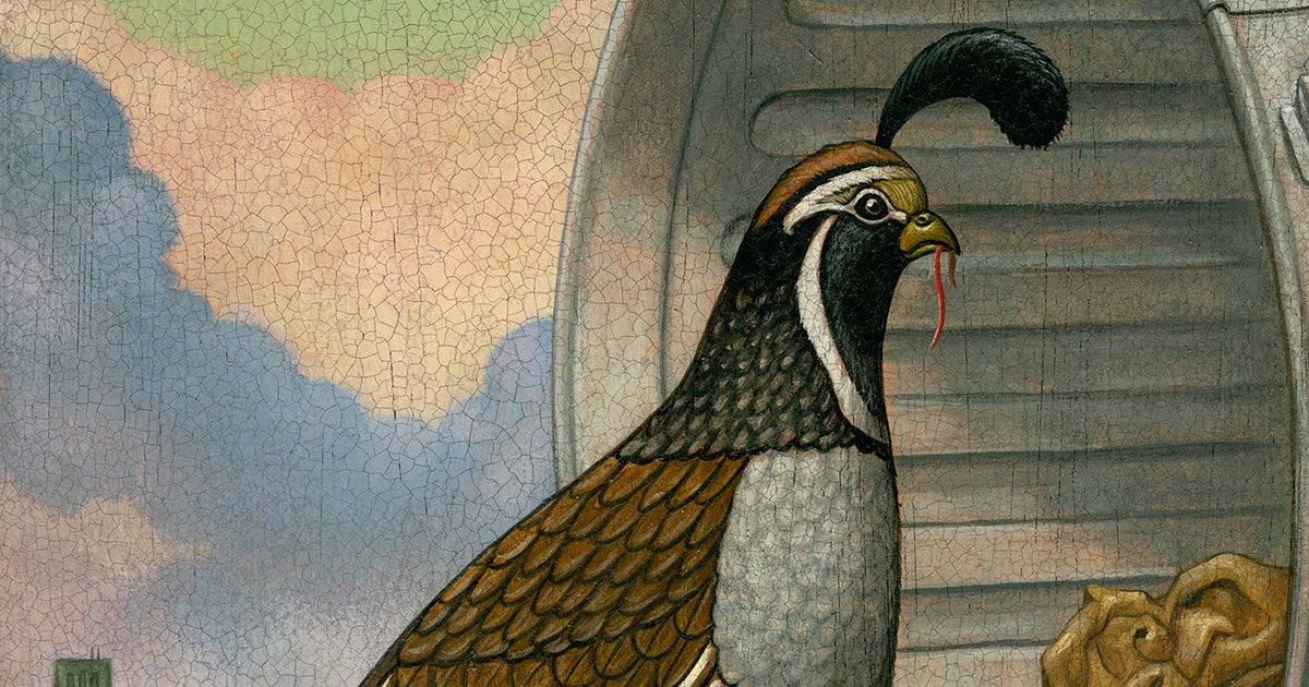 Reimagining the California Quail | Audubon