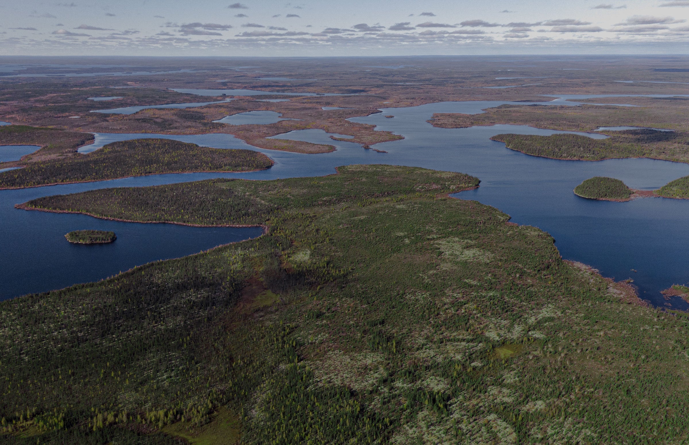 New Report Highlights the Importance of the Seal River Watershed | Audubon