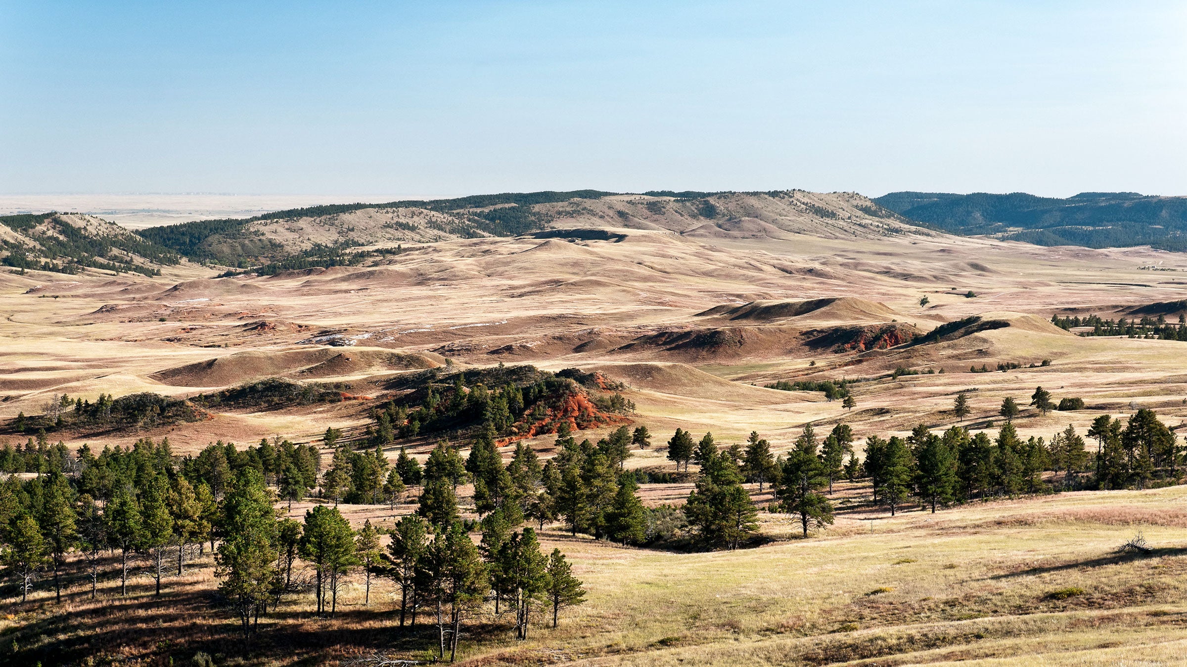 Wind Cave National Park | Audubon